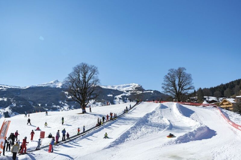 Swiss Ski Experience in the Jungfrau Region - What Real Participants Say