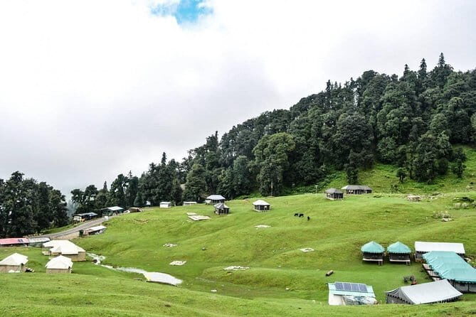 Swiss tent camping in Chopta (1n2d) - Key Points