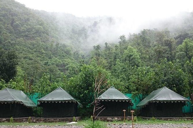 Swiss tent camping near Dehradun - Authentic Insights from Past Travelers