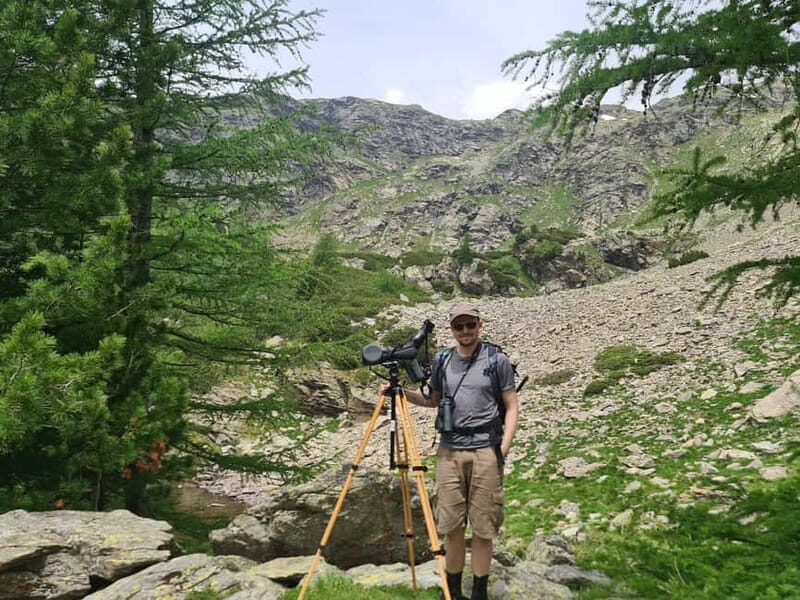 Switzerland: Private nature safari with local guide. Discover the Alps, lakes, and more. - An Inside Look at the Swiss Nature Safari Experience