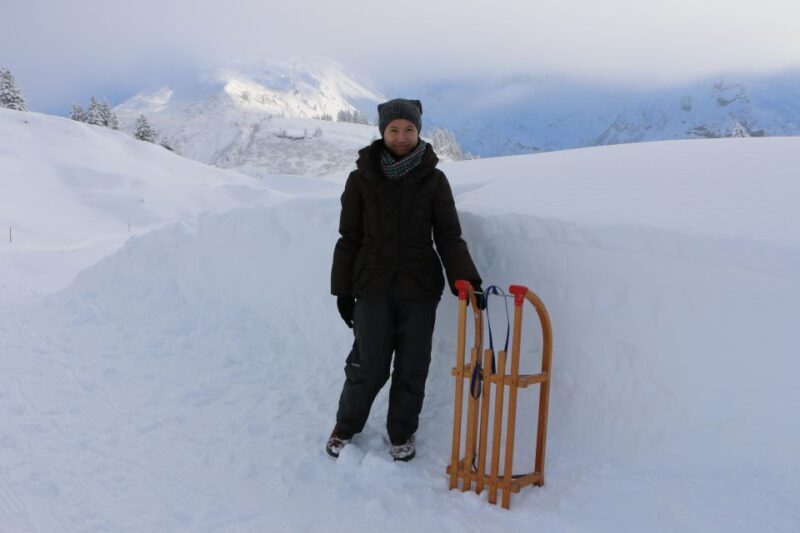 Switzerland: Private Sledging Day Tour - The Experience: A Closer Look