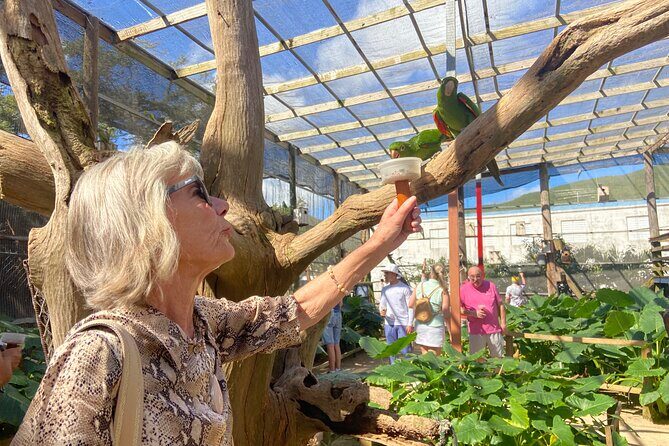 SXM Highlights: Beaches, Bites & Beautiful Views - A Well-Organized, Short But Sweet Tour