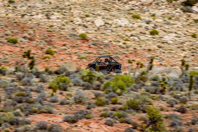 SXS Tour W/ A Stop at Pioneer Saloon Goodsprings in Las Vegas - The Sum Up