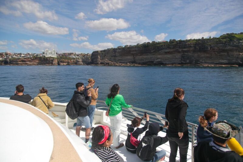 Sydney: 2.5-Hour Discovery Whale Watching Tour by Catamaran - The Itinerary and Experience in Detail