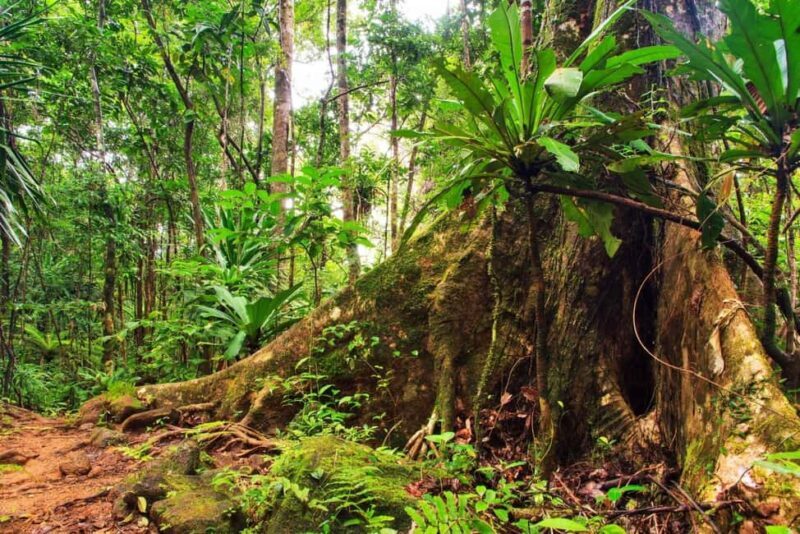 Sydney: 2-Day Private Tour to Blue Mountains and Kiama - A Practical Guide to the 2-Day Sydney Private Tour