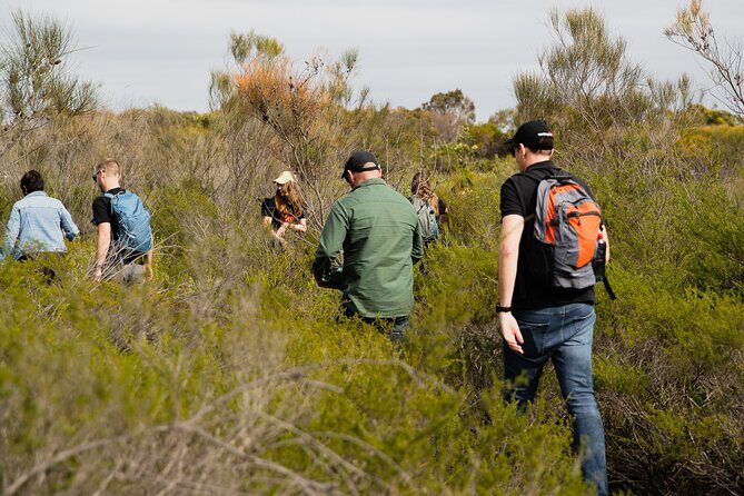 Sydney Aboriginal Walking Tour with Welcome Smoking Ceremony - The Itinerary: What You’ll See and Experience