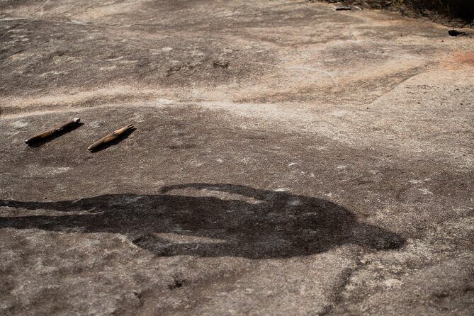 Sydney Aboriginal Walking Tour with Welcome Smoking Ceremony - FAQ