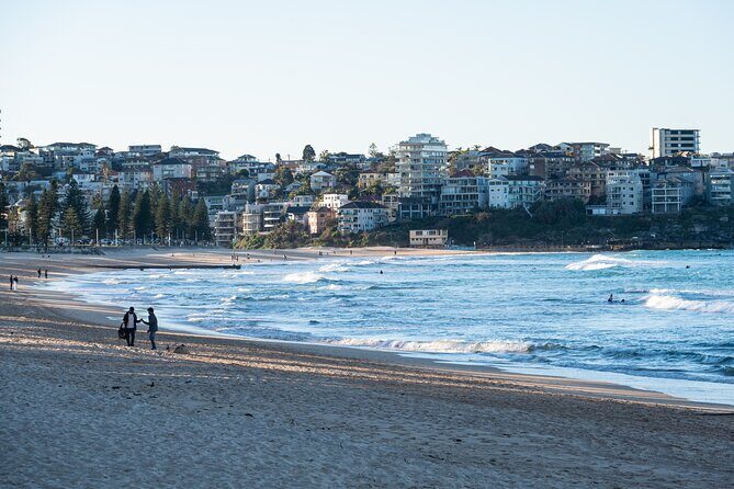 Sydney Airport Transfer with Manly & Harbour Highlights - Transport, Pricing, and Group Size