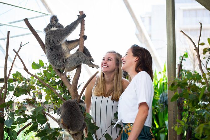 Sydney Attractions Pass: SEA LIFE Aquarium, Sydney Tower Eye, WILD LIFE Zoo and Madame Tussauds - An In-Depth Look at the Sydney Attractions Pass