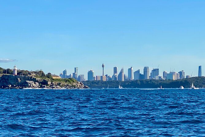 Sydney Beaches Half Day Drive and Walk Tour - Daring Cliffs at Dover Heights