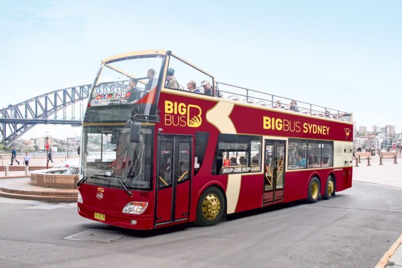 Sydney: Big Bus Hop-On Hop-Off Tour with Optional Cruise - The Bottom Line: Who Should Consider This Tour?