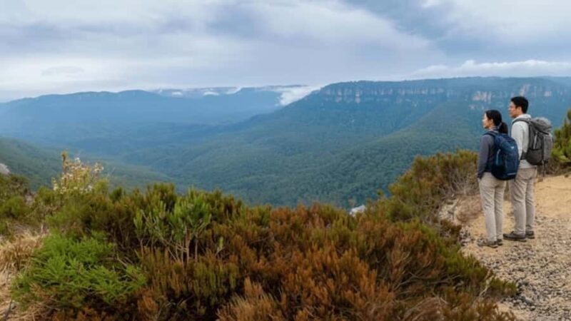 Sydney: Blue Mountains and F. Wildlife Park - Private Tour - Key Points