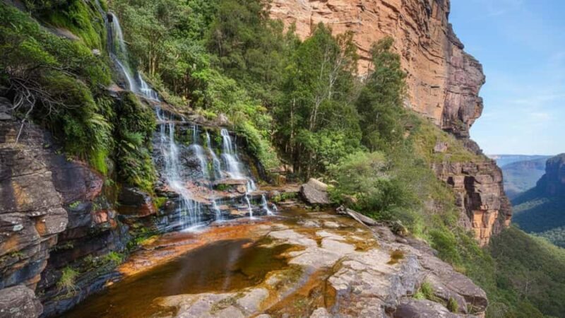 Sydney: Blue Mountains and F. Wildlife Park - Private Tour - A Day in the Blue Mountains: What You Can Expect