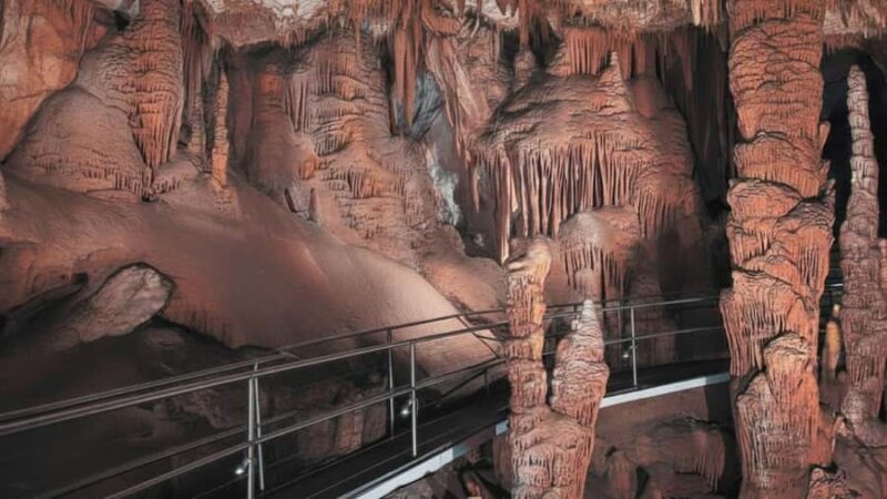 Sydney: Blue Mountains and F. Wildlife Park - Private Tour - FAQ