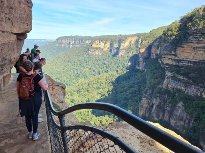 Sydney: Blue Mountains Guided Hike with Lunch & Pickup - Discover the Blue Mountains: Guided Hike with Lunch & Pickup