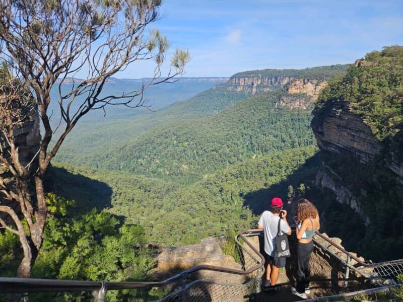 Sydney: Blue Mountains Guided Hike with Lunch & Pickup - Is This Tour Worth the Price?