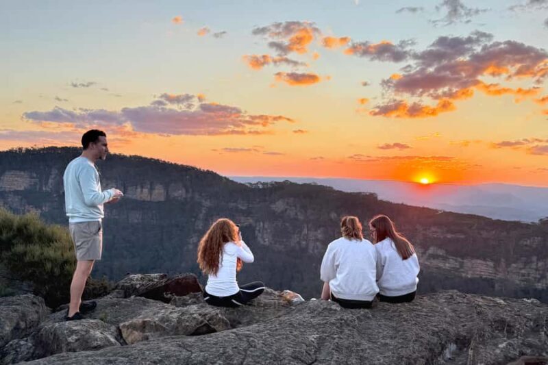 Sydney: Blue Mountains Kangaroos, Wilderness and Sunset Tour - An Honest Look at the Blue Mountains Small-Group Tour