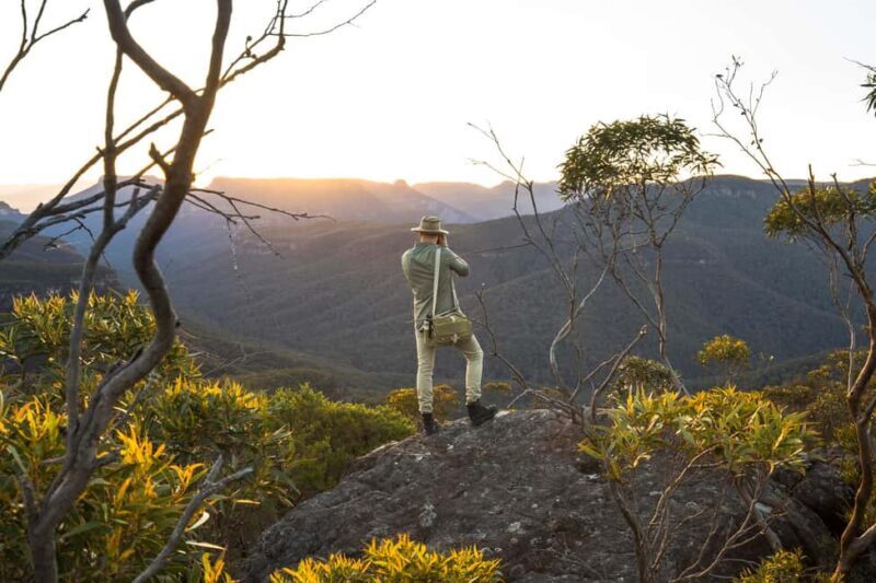 Sydney: Blue Mountains Kangaroos, Wilderness and Sunset Tour - Price and Overall Value