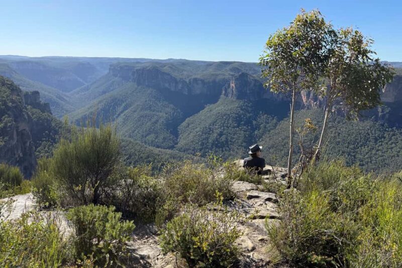 Sydney: Blue Mountains Kangaroos, Wilderness and Sunset Tour - Summary and Who Would Love This Tour