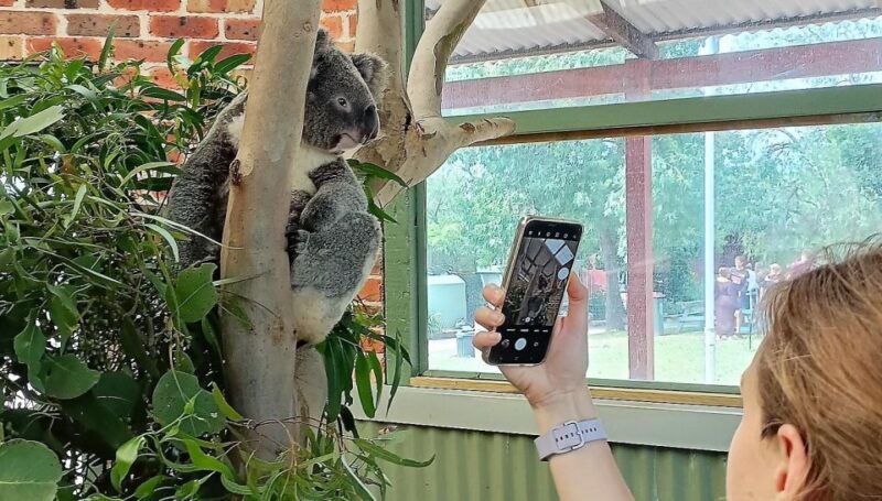 Sydney: Blue Mountains Late Start Tour with Walks & Wildlife - Who Will Love This Tour?