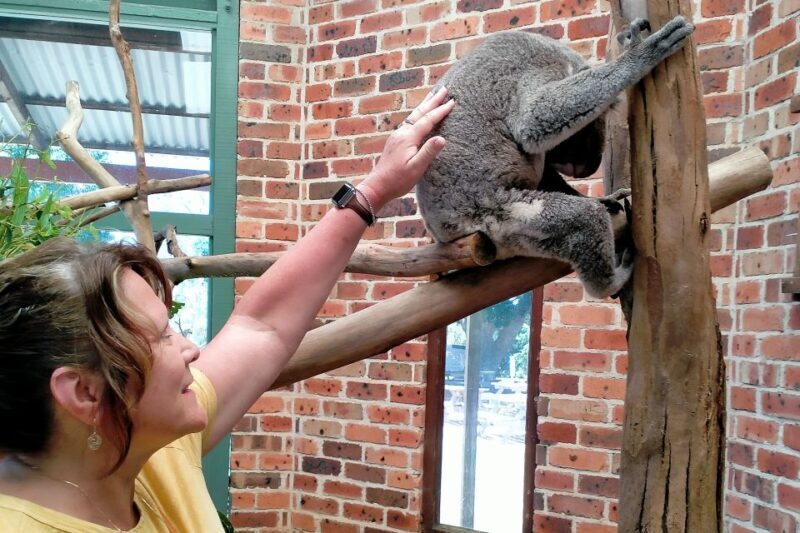 Sydney: Blue Mountains Late Start, Walks Waterfalls & Koalas - Key Points