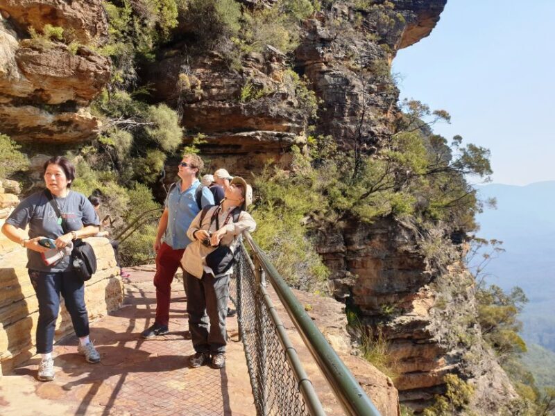 Sydney: Blue Mountains Late Start, Walks Waterfalls & Koalas - Pricing and Value: Is It Worth It?