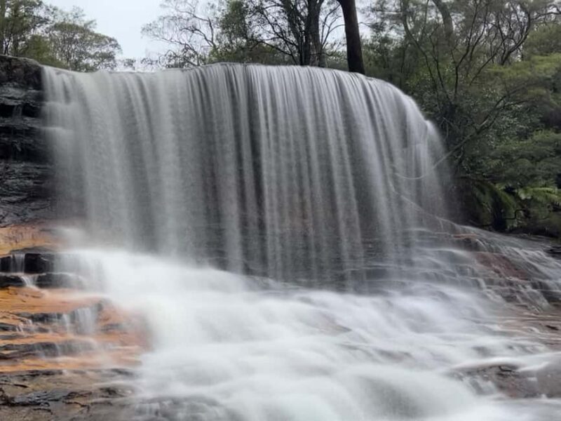 Sydney: Blue Mountains National Park Tour with River Cruise - A Detailed Look at the Blue Mountains Tour Experience