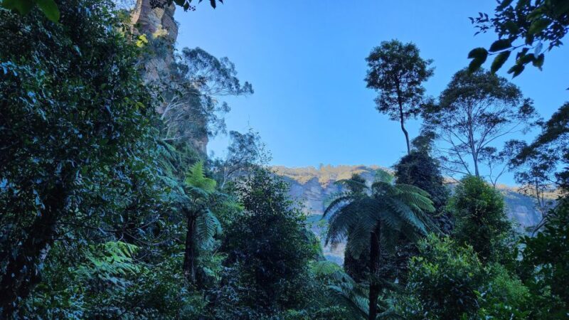 Sydney Blue Mountains, Scenic World, Featherdale (Private) - Authentic Experience and Authentic Advice