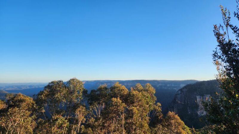 Sydney Blue Mountains, Scenic World, Featherdale - A Detailed Look at the Sydney Blue Mountains, Scenic World, and Featherdale Tour
