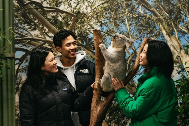Sydney: Blue Mountains Wildlife & Bushwalk Small-Group Tour - What to Expect: An Authentic Aussie Day Out