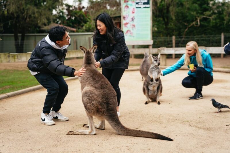Sydney: Blue Mountains Wildlife & Bushwalk Small-Group Tour - Analyzing Value: Is It Worth the Price?