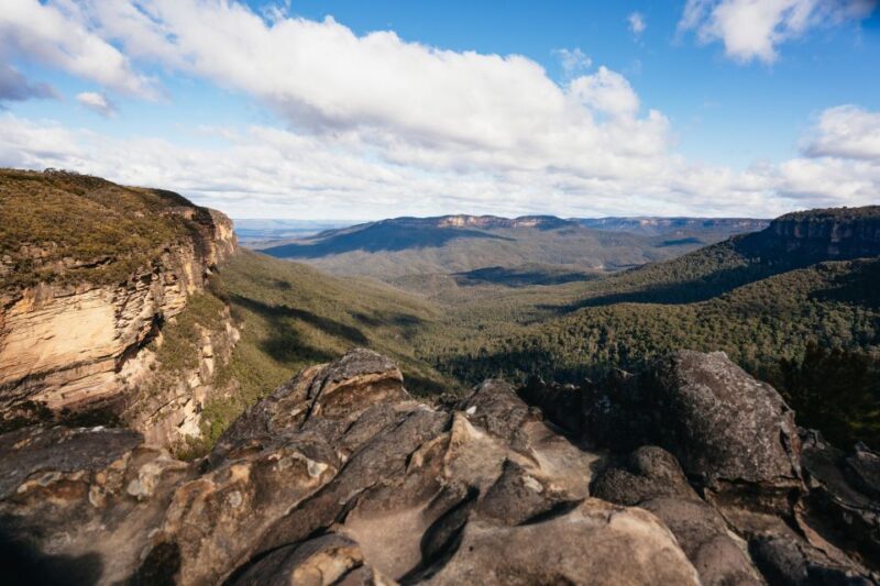 Sydney: Blue Mountains Wildlife & Bushwalk Small-Group Tour - Who Should Consider This Tour?