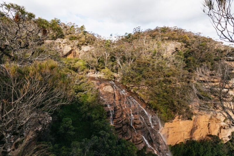 Sydney: Blue Mountains Wildlife & Bushwalk Small-Group Tour - FAQs