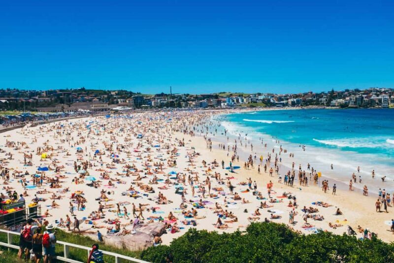 Sydney: Bondi Beach, Opera House & Sydney City Private Tour - A Detailed Look at the Tour Experience