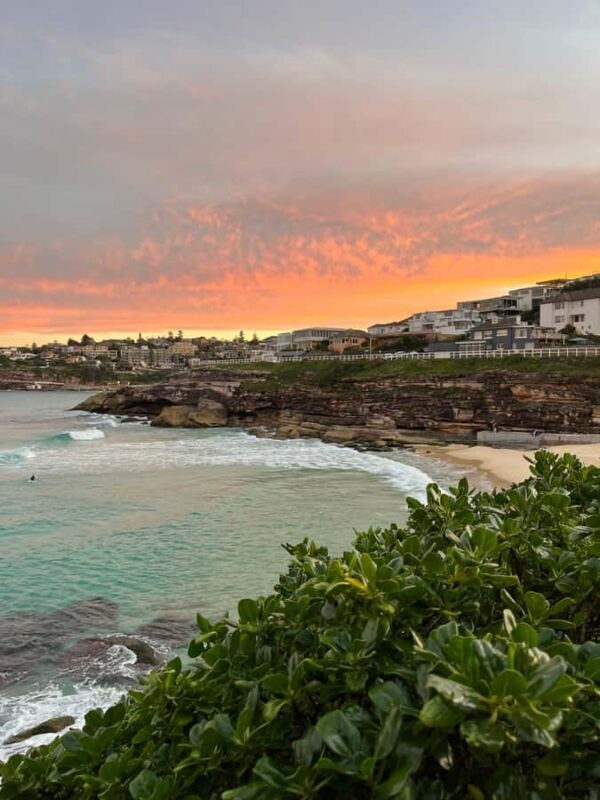 Sydney: Bondi Sunrise Yoga and Coastal Walking Tour - Who Should Consider This Tour?