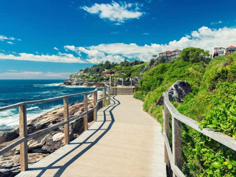 Sydney: Bondi to Coogee Hike with picnic lunch at Coogee - The Itinerary in Detail: What to Expect