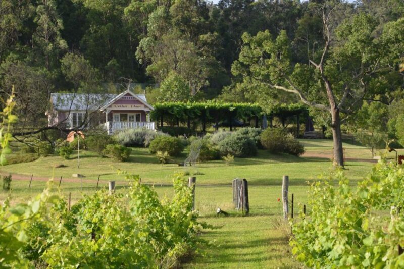 Sydney: Chef-Led Hunter Valley Food & Wine Tour - The Experience in Detail