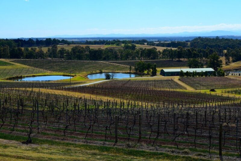 Sydney: Chef-Led Hunter Valley Food & Wine Tour - Why This Tour Stands Out