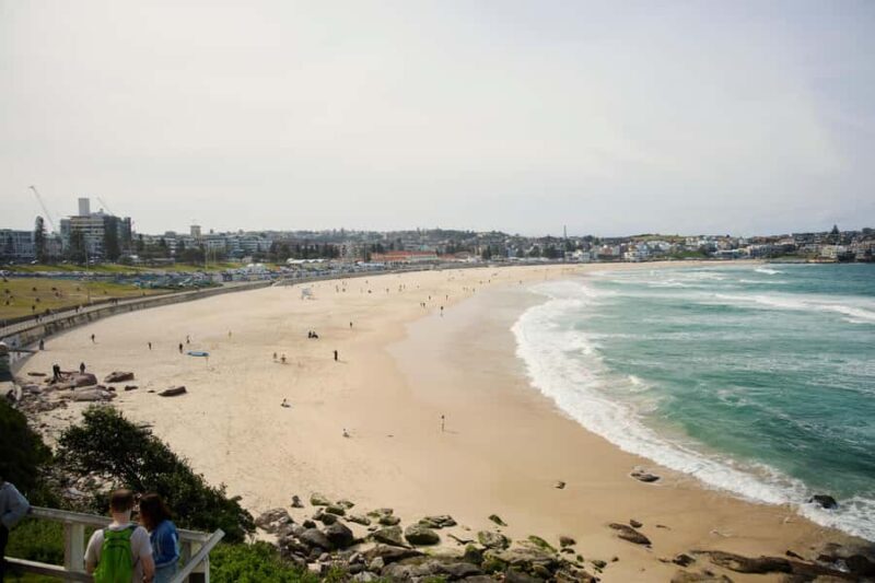 Sydney: City and Bondi Beach Private Luxury Half-Day Tour - Practical Details and Tips