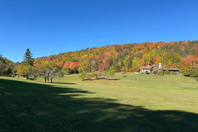 Sydney City Coastline and Blackett's Lake Tour - Key Points