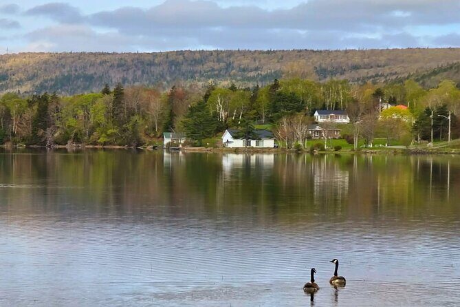Sydney City Scenic Tour From Lakes To Waves of Cape Breton - An In-Depth Look at the Tour Experience