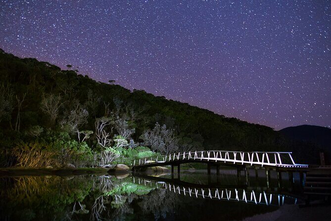 Sydney Coastal Highlights Half Day Tour - Who Will Enjoy This Tour Most?