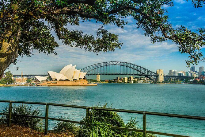 Sydney Combo: Morning Sightseeing to Bondi & Harbour Lunch Cruise - The Harbour Lunch Cruise: A Water Perspective