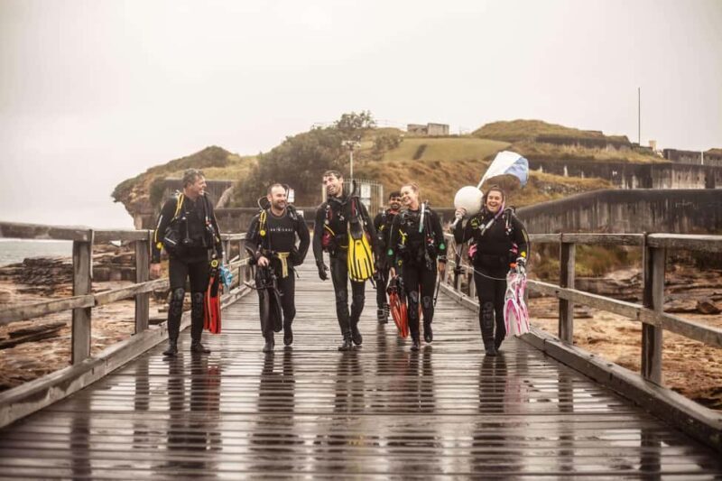 Sydney: Discover Scuba Dive at Australia's most Iconic Beach - What to Expect from the Tour