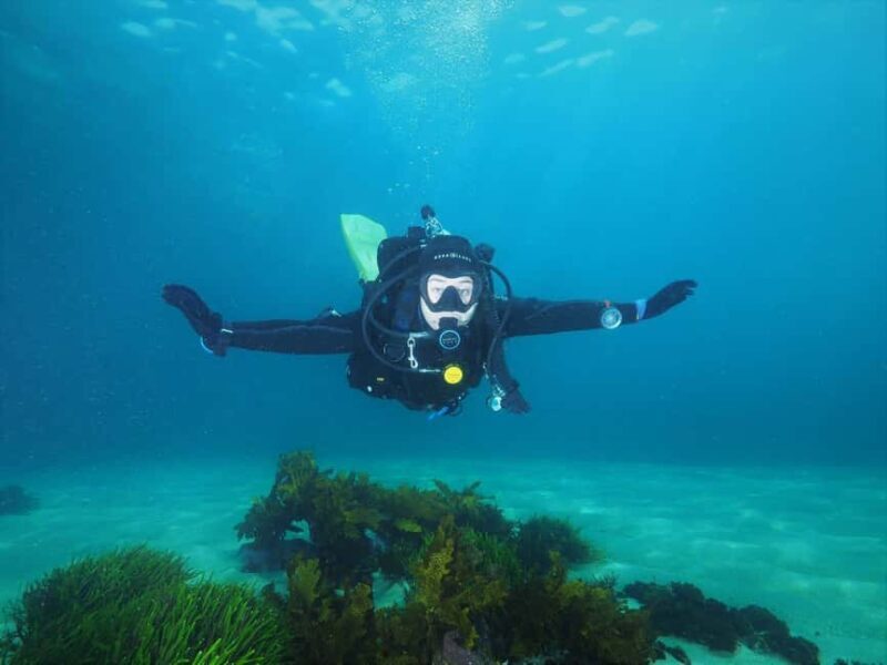 Sydney: Discover Scuba Dive at Australia's most Iconic Beach - Why This Tour Offers Good Value