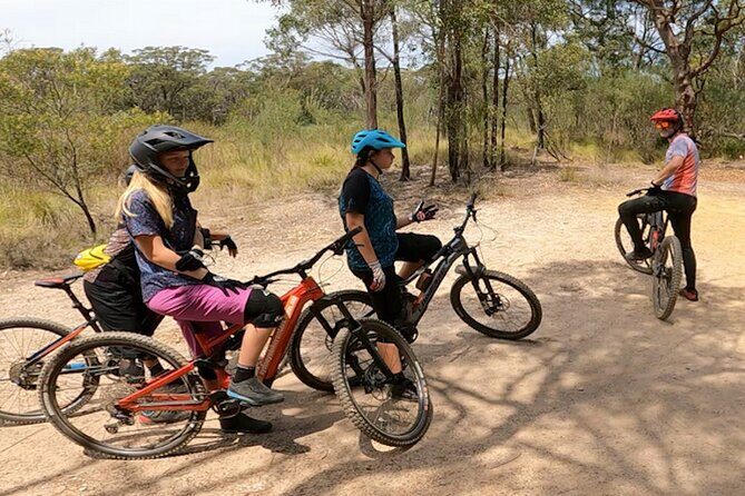 Sydney Electric Mountain Bike Guided Tour - Key Points