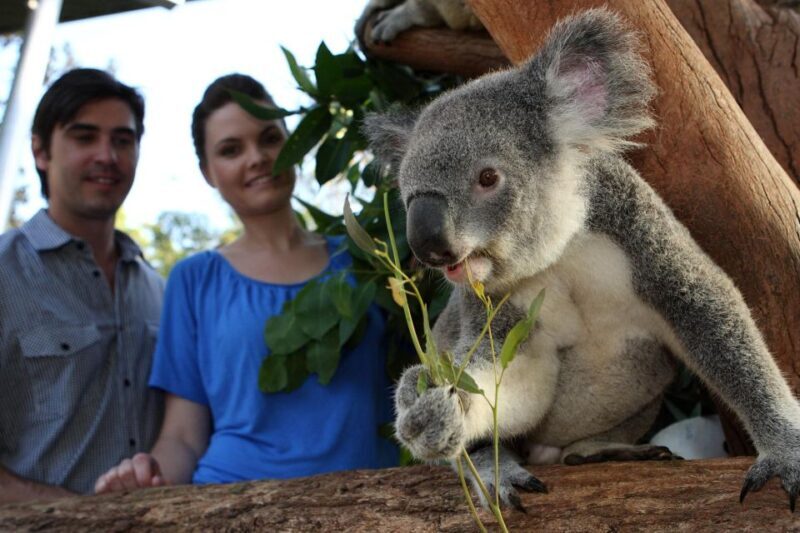 Sydney Explorer Pass: Save up to 50%* on Attraction Tickets - Sydney Explorer Pass: Save up to 50%* on Attraction Tickets