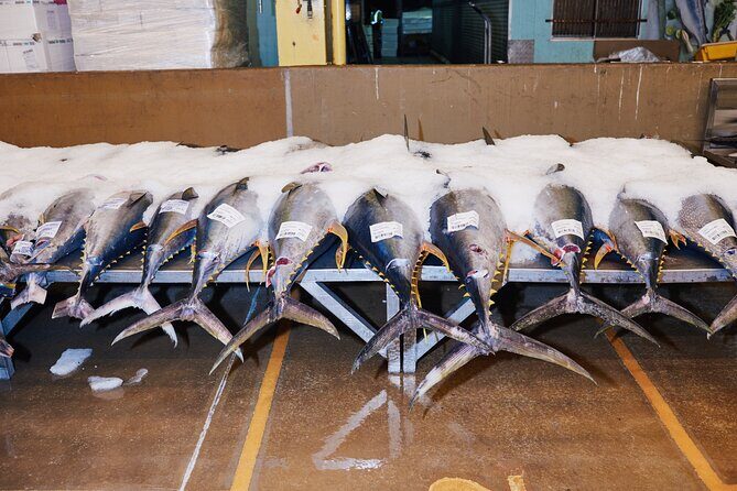 Sydney Fish Market Behind the Scenes Walking Tour - Is It Worth the Price?
