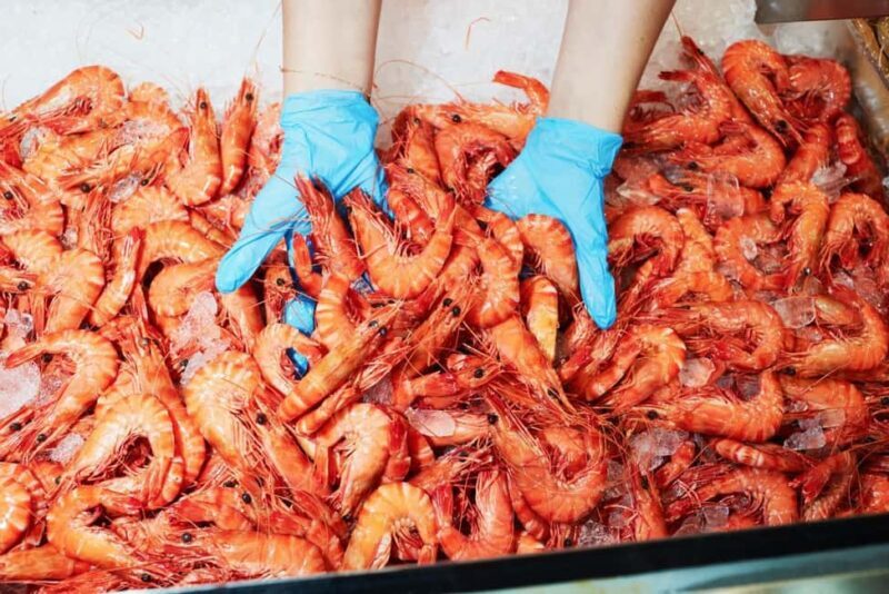 Sydney: Fish Market Food Tour - The Journey Through Sydney Fish Market