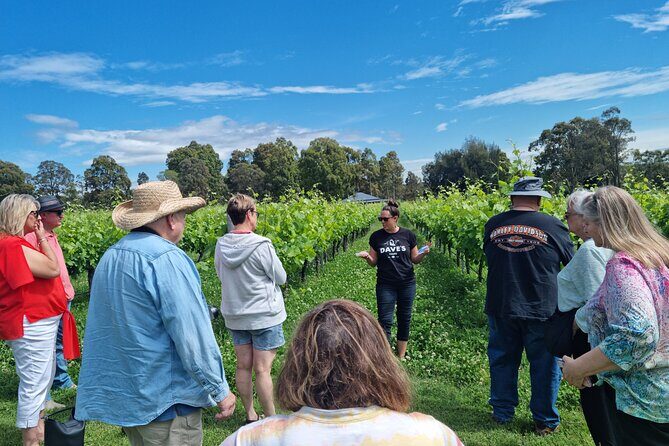 Sydney Grains and Grapes Hunter Valley Wine and Beer with Lunch - Practical Considerations